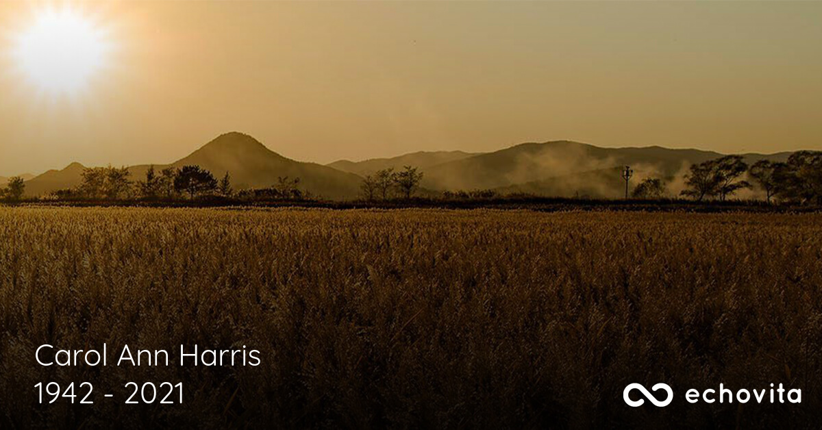 Carol Ann Harris Obituary (1942 - 2021) | Orlando, Florida